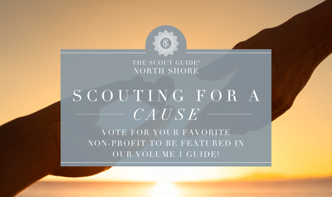 North Shore V1 | Scouting For A Cause - The Scout Guide