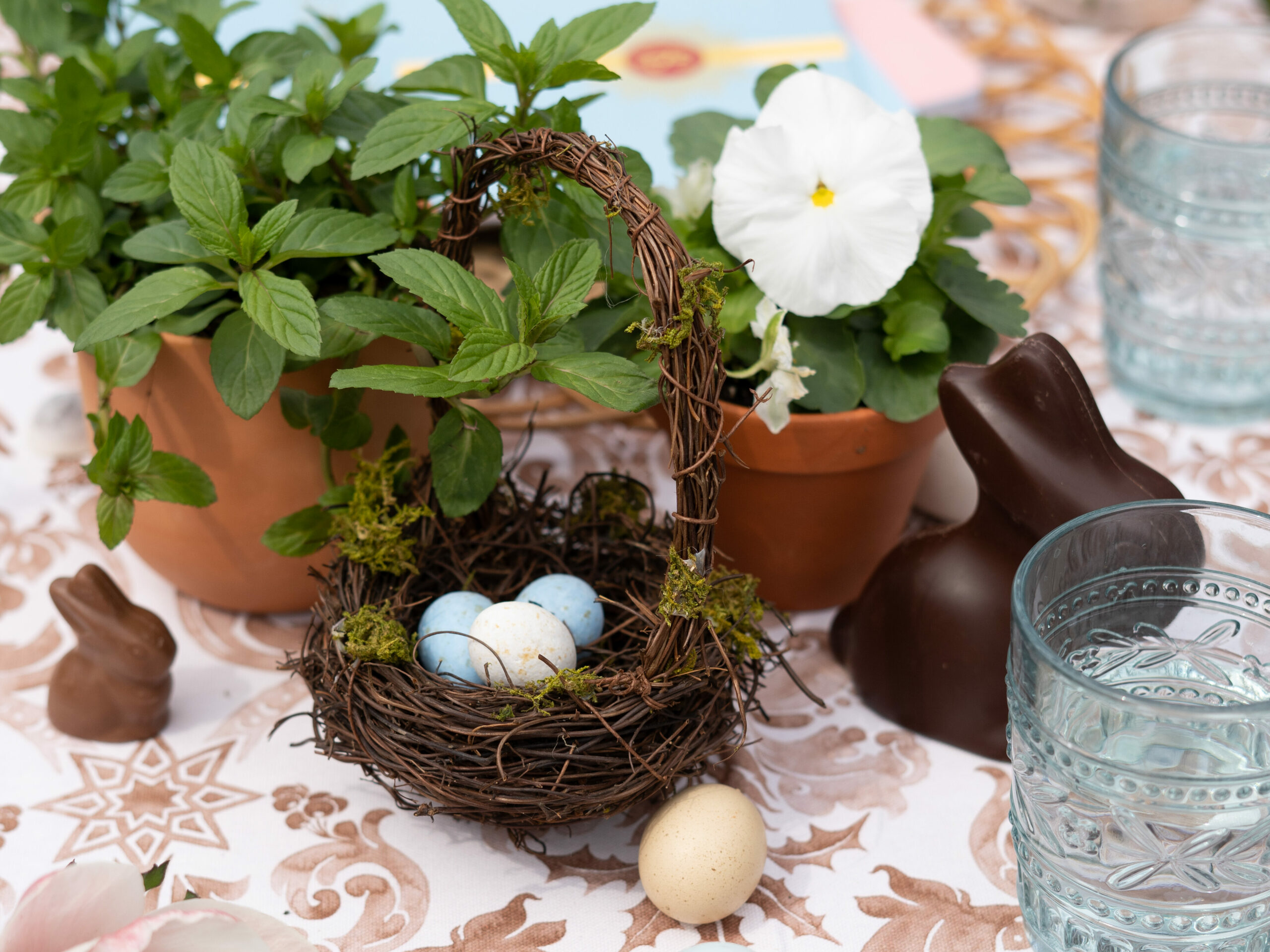 How to Use The Scout Guide - The Scout Guide