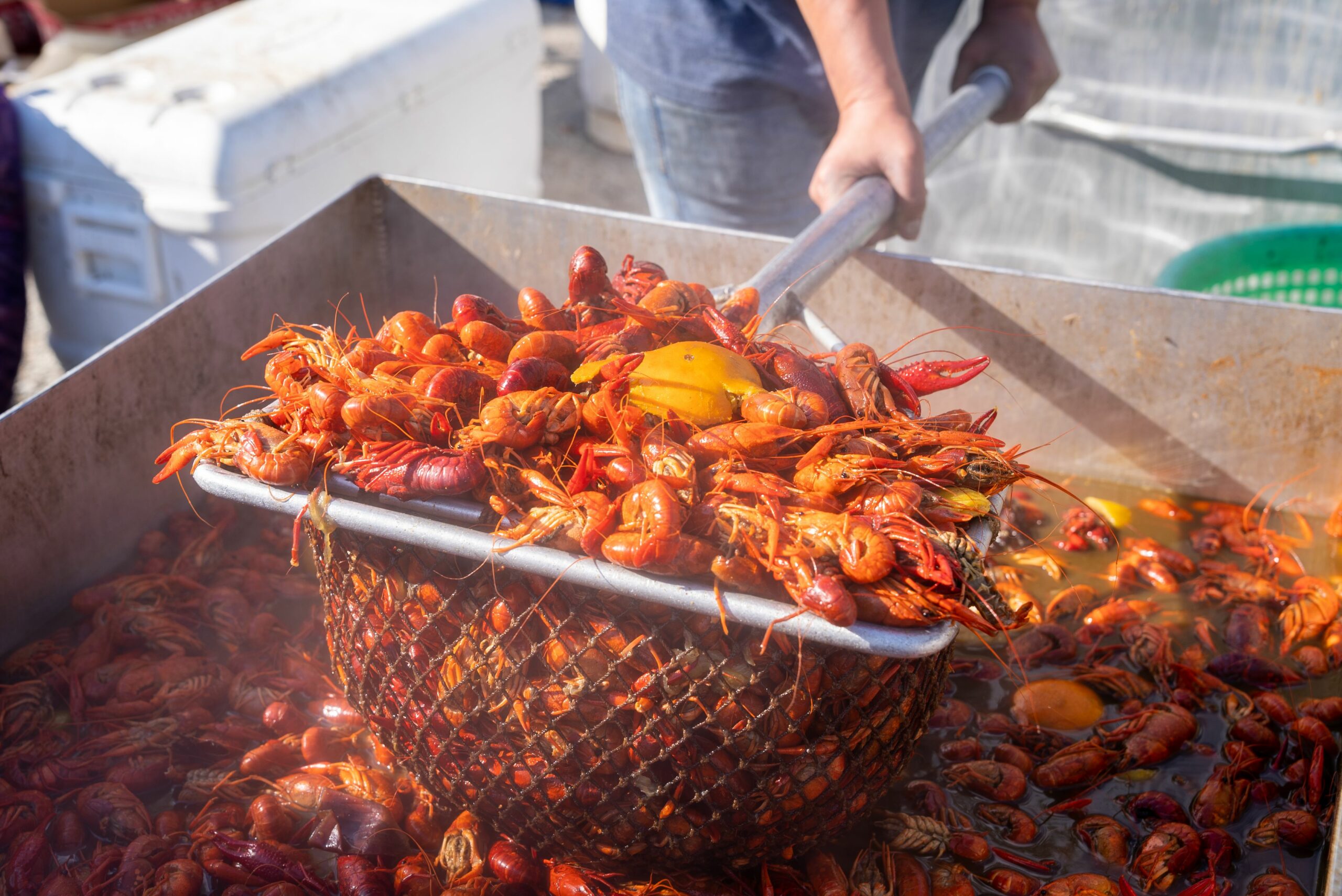 4th Annual Crawfish Festival—MidCity District and Kids to Love - The ...