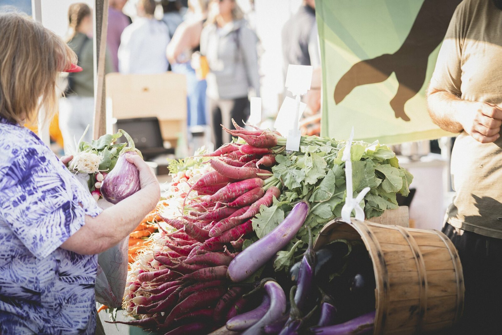 Boise Events - The Scout Guide