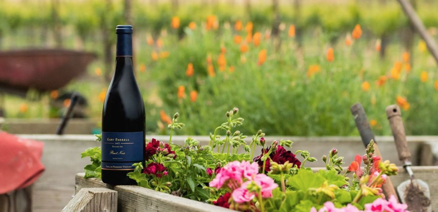 Gary Farrell Wine Dinner at Clay Pigeon - The Scout Guide