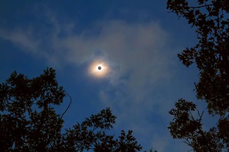 Eclipse Excitement: Where to Watch and How To Protect Your Eyesight