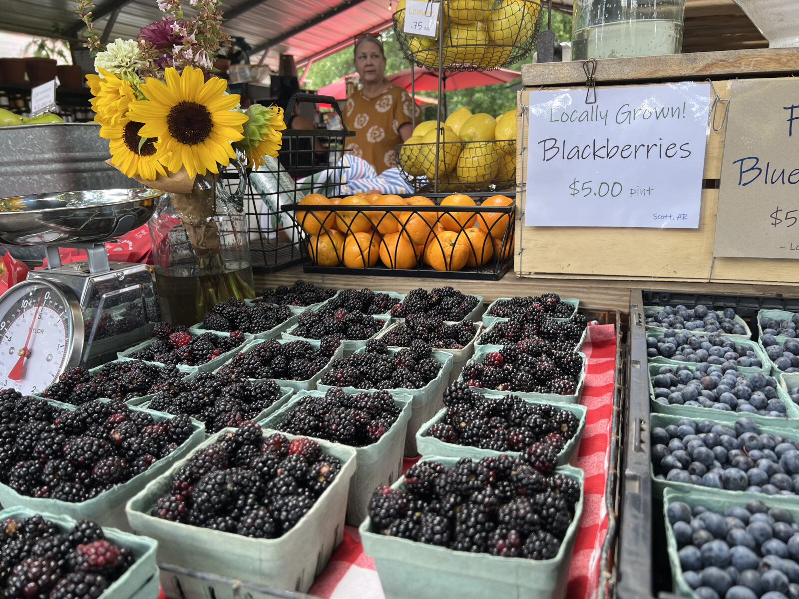 Little Rock Farmers Market Insider Guide - The Scout Guide Little Rock Farmers Market Insider Guide - The Scout Guide