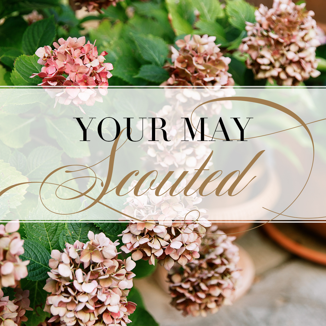 Welcome to Minneapolis, Minnesota - The Scout Guide