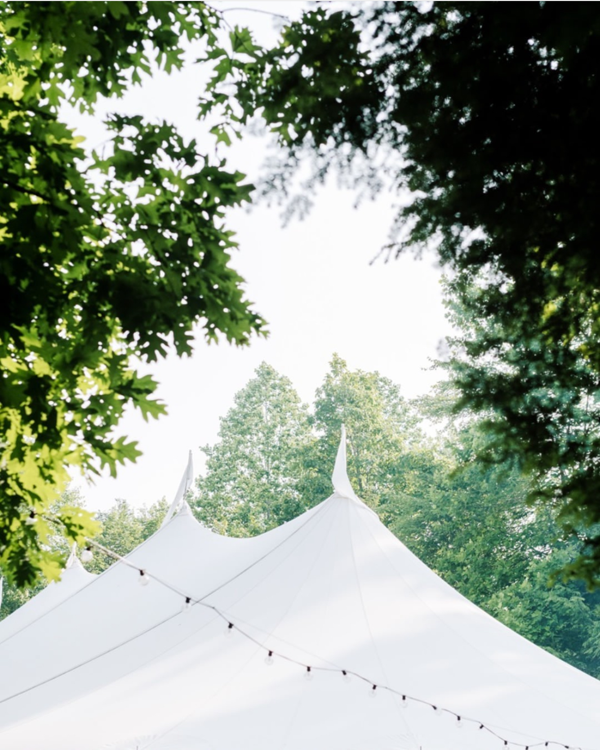 MORNINGSIDE SUPPER SERIES: SAM JONES - The Scout Guide