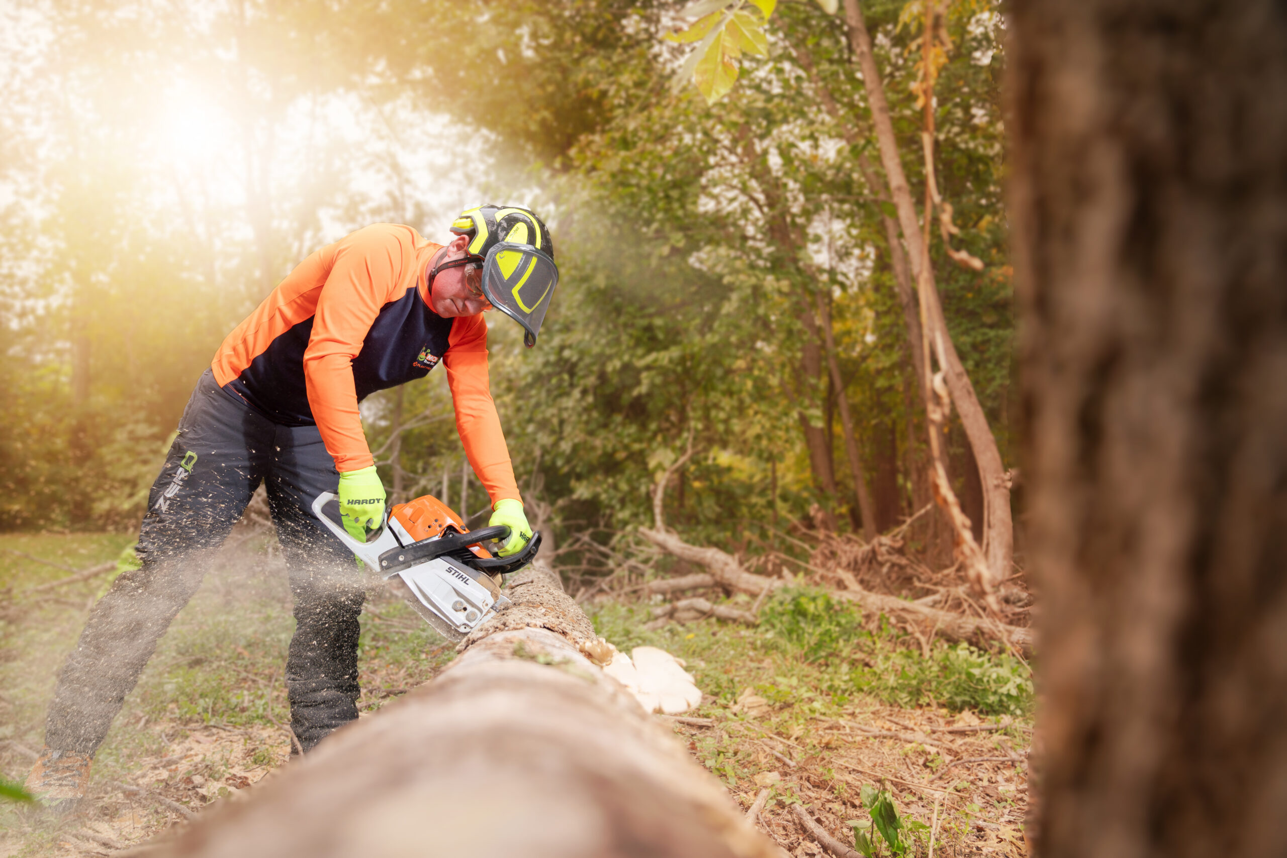 Welcome to Alexandria, Virginia - The Scout Guide