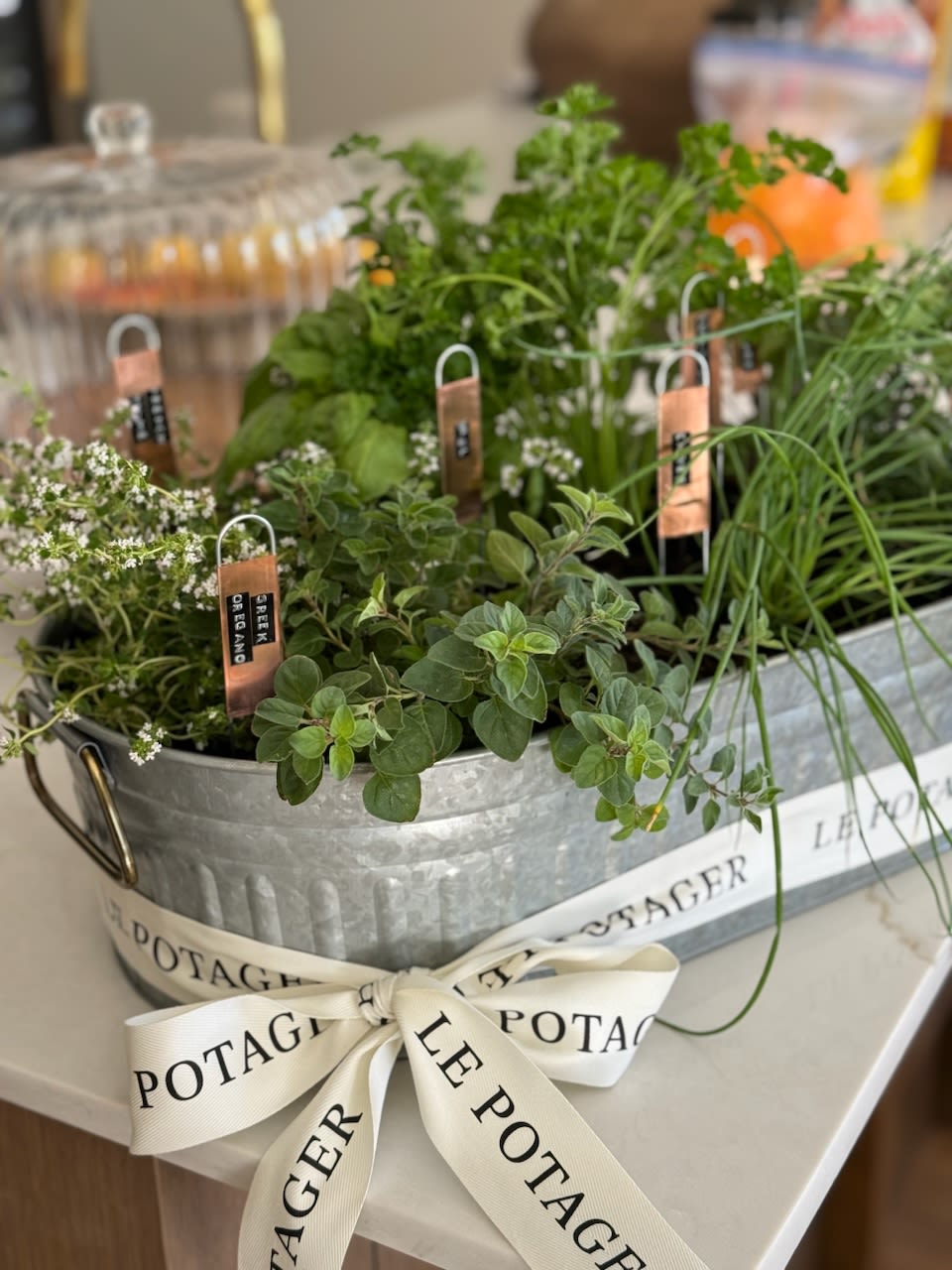 Your June Scouted | Events Around The Valley - The Scout Guide