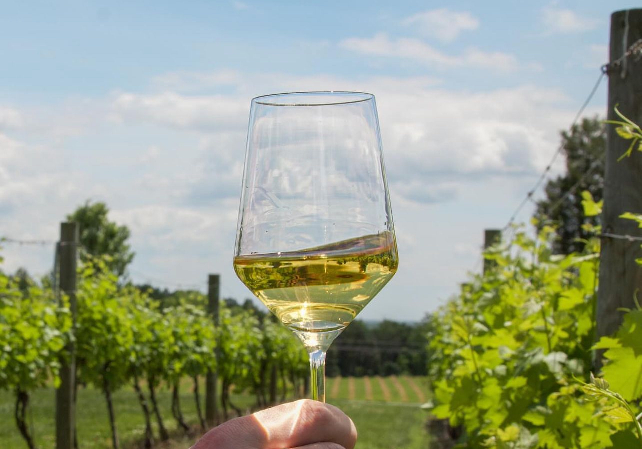 The Generous Pour 2024 at Southwest Mountains Vineyards - The Scout Guide