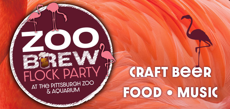 ZooBrew Flock Party - The Scout Guide