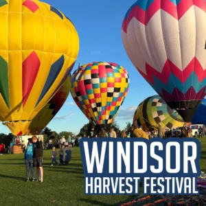 2024 Windsor Harvest Festival - The Scout Guide