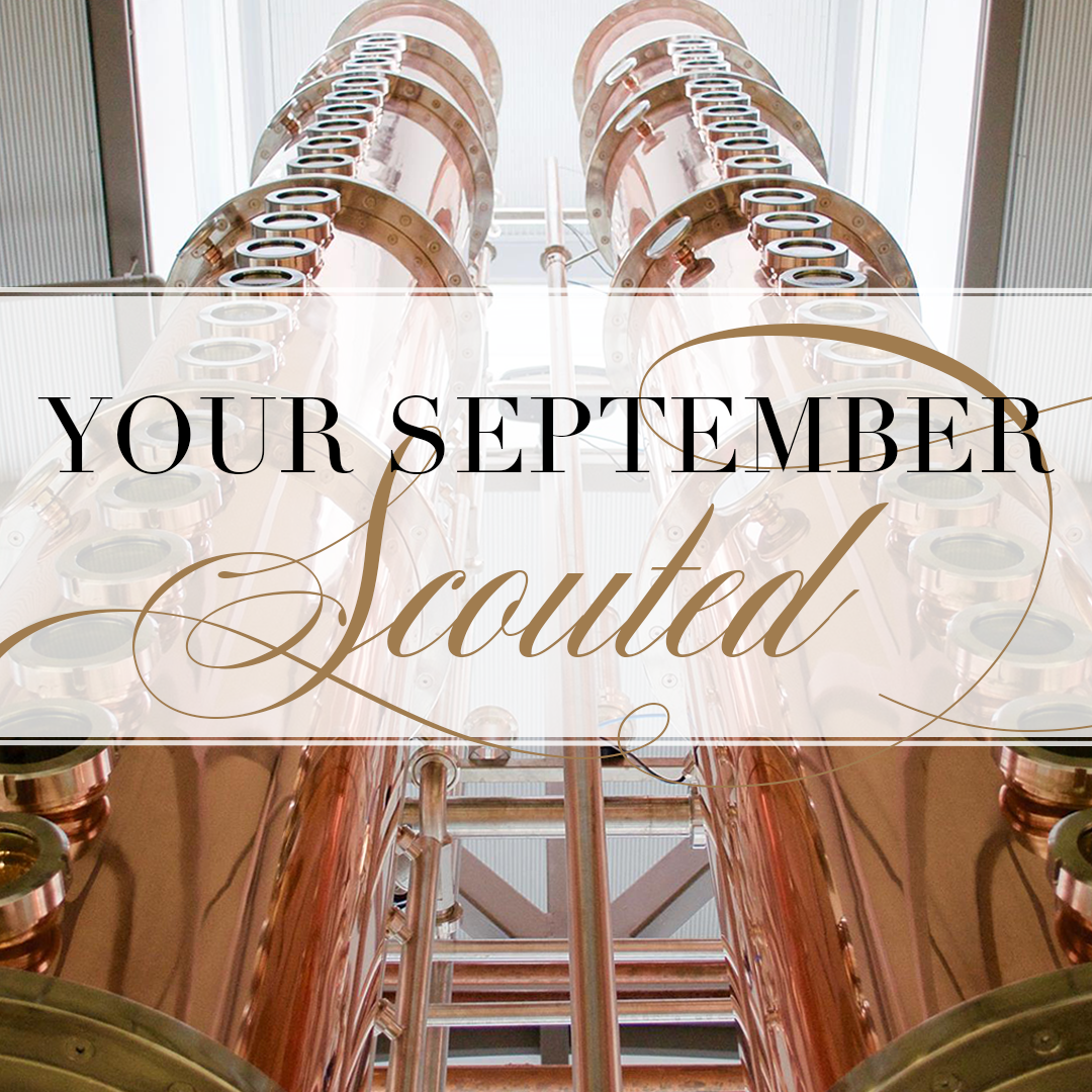 Your January Scouted - The Scout Guide