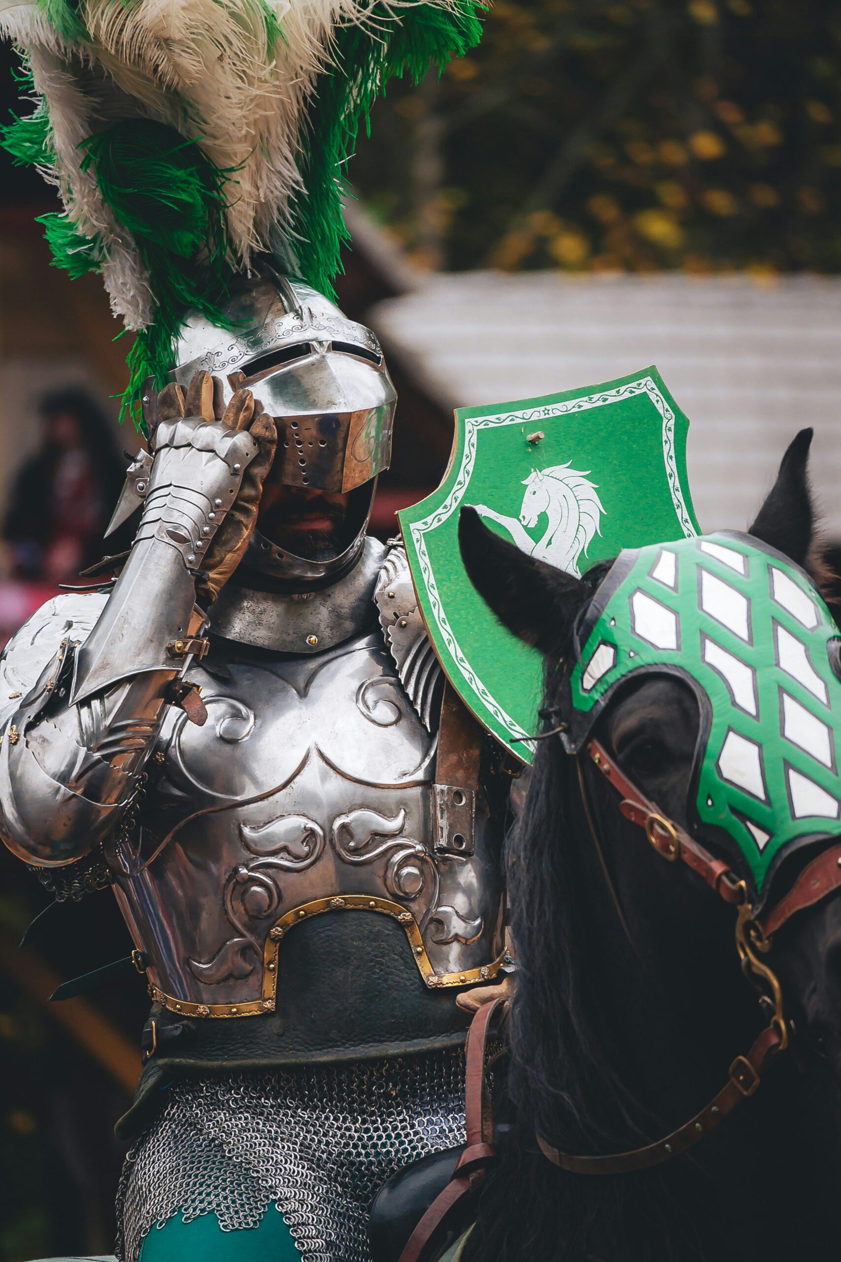 The Idaho Renaissance Faire - The Scout Guide