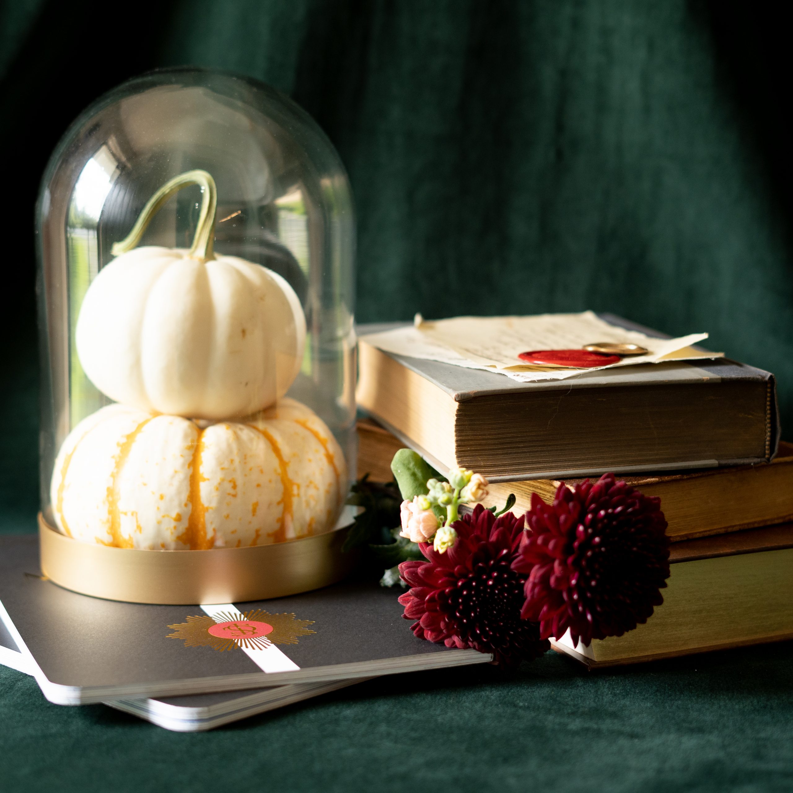 Nelina's Fall Faves - The Scout Guide