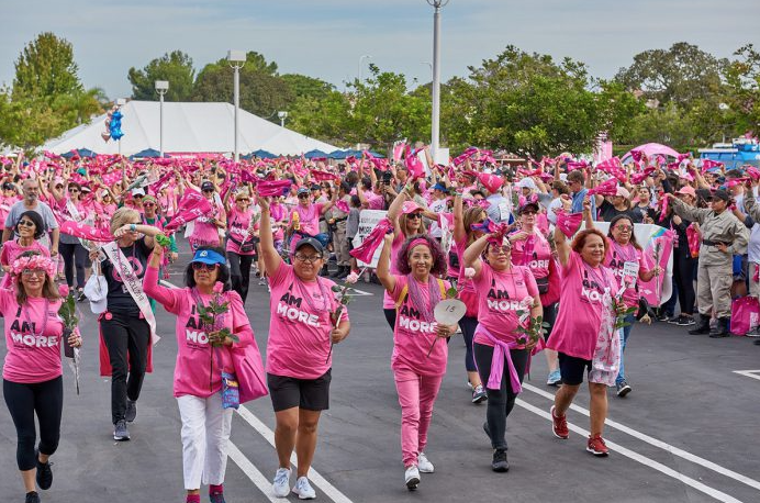 Susan G. Komen MORE THAN PINK Walk - The Scout Guide