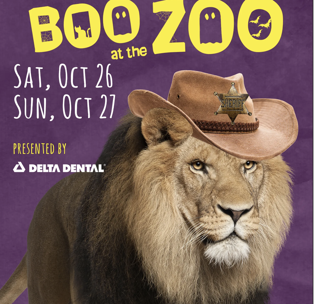 Boo at the Zoo - The Scout Guide