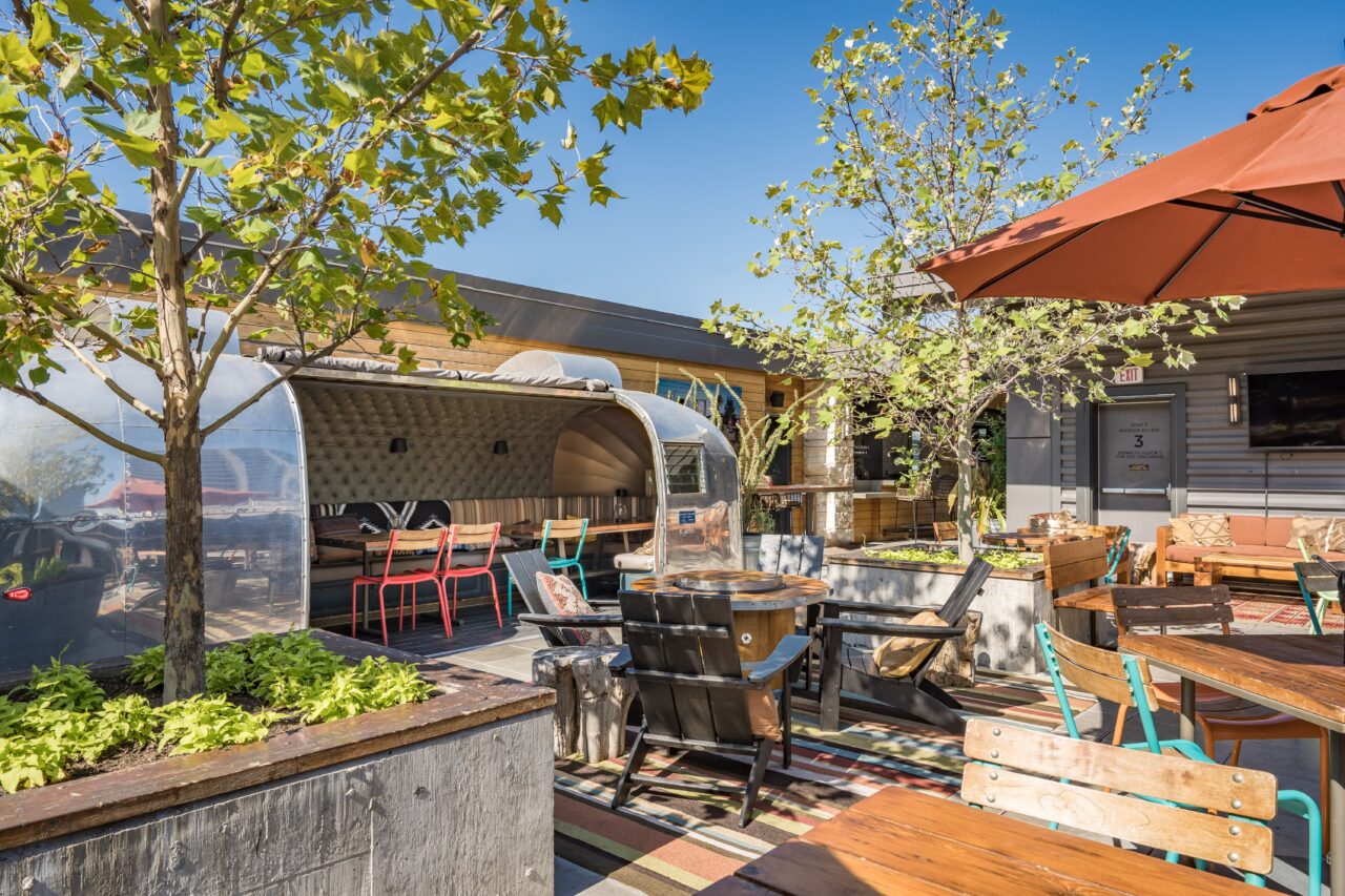 Best Local Dining Experiences in Plano, Frisco & McKinney - The Scout Guide