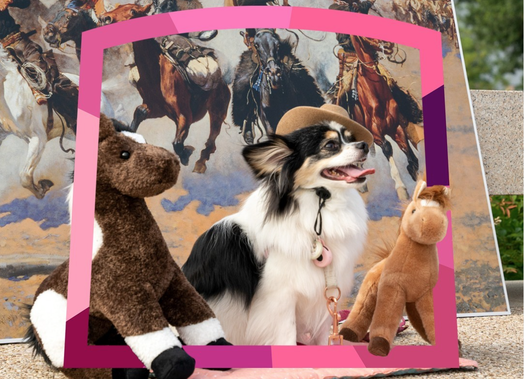 Paws & Pictures at Amon Carter Museum - The Scout Guide