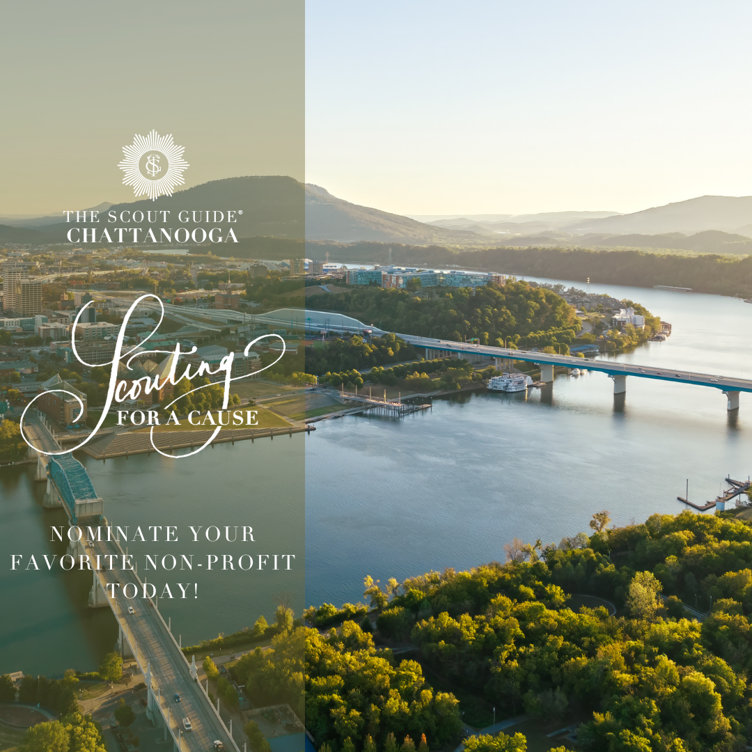 Chattanooga V12 | Scouting for a Cause - The Scout Guide