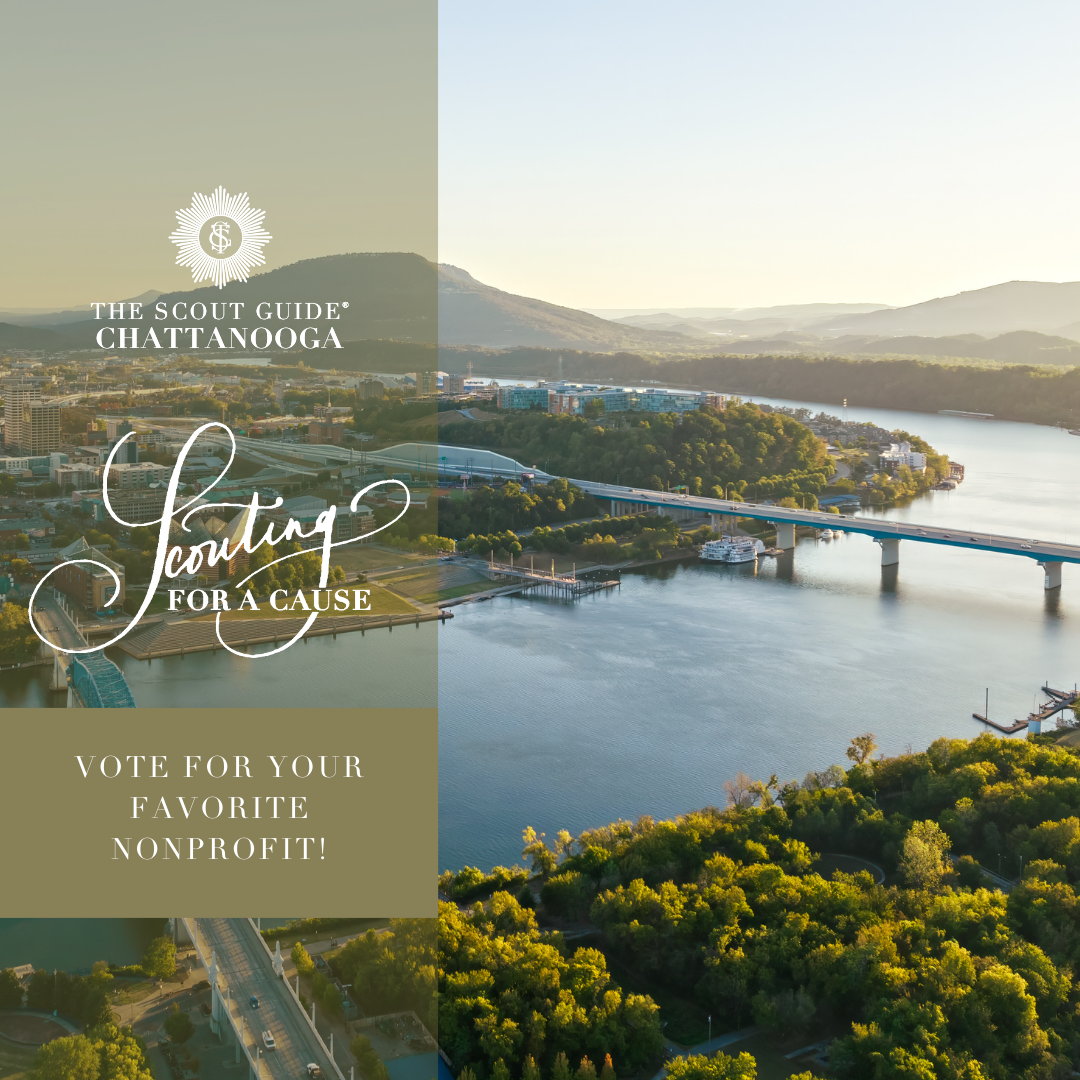 Chattanooga V12 | Scouting for a Cause - The Scout Guide