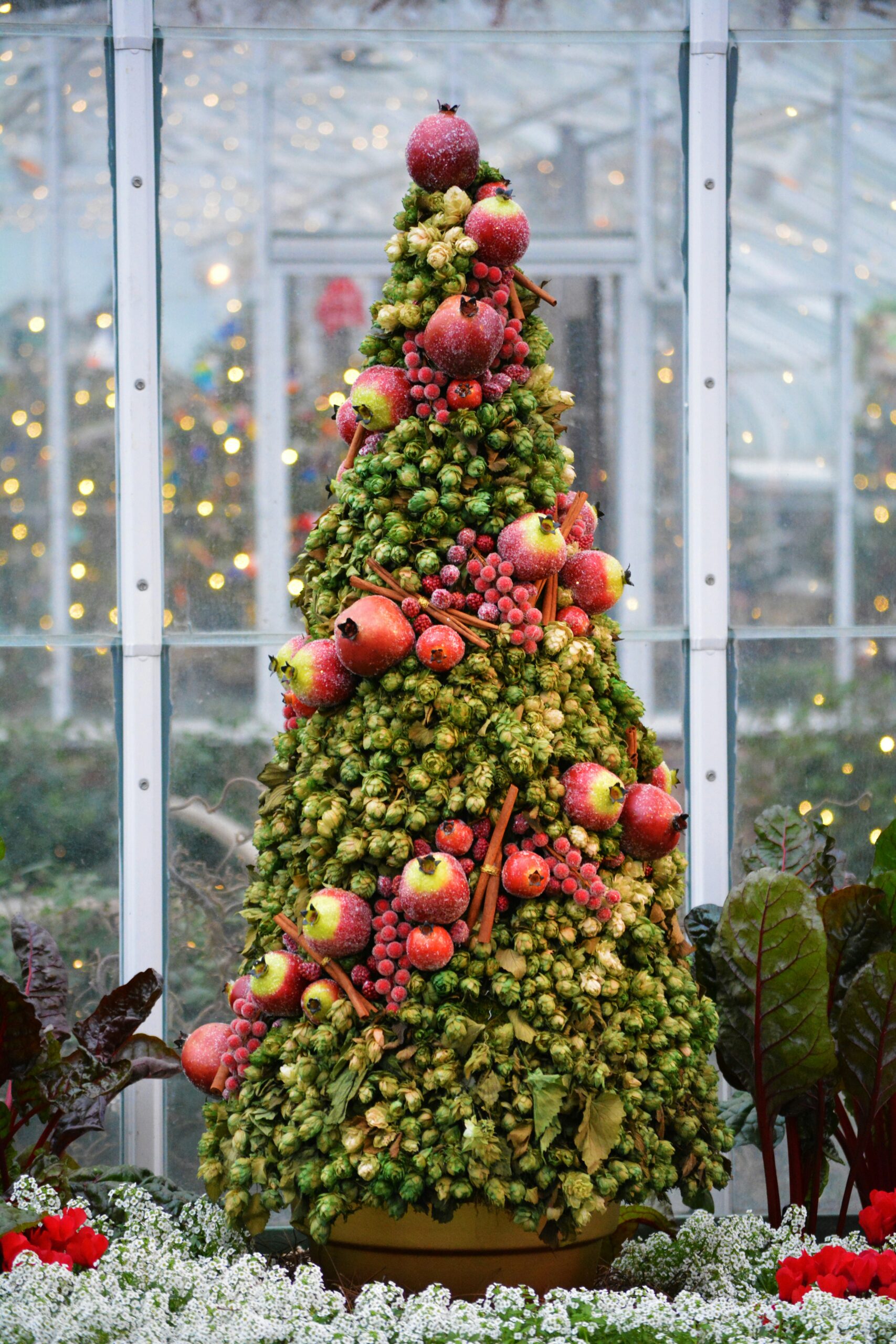 Festival of Trees Boise - The Scout Guide
