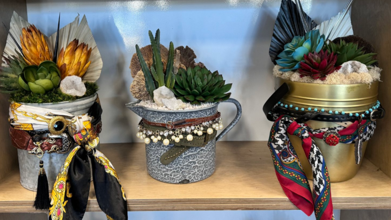 Botanical Artistic Finds with Urban Spikes X Amy Switzer Design - The ...