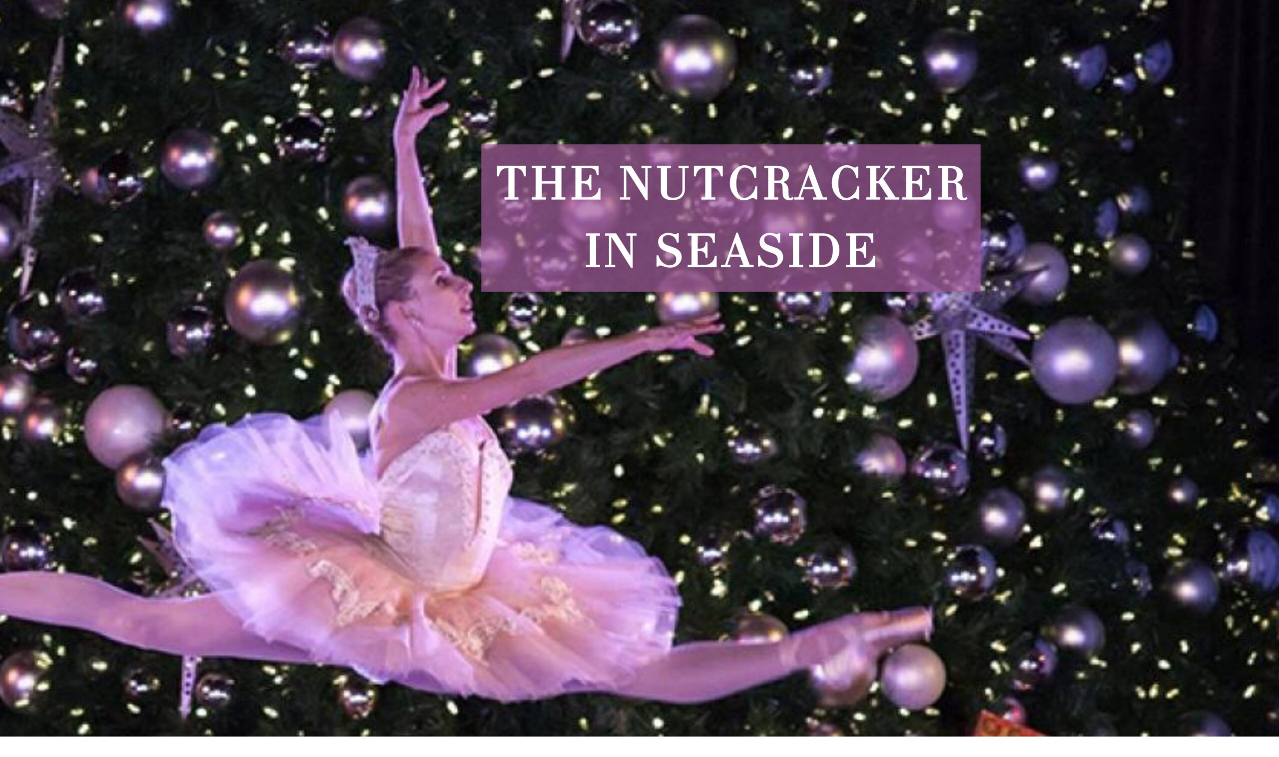 The Nutcracker in Seaside - The Scout Guide
