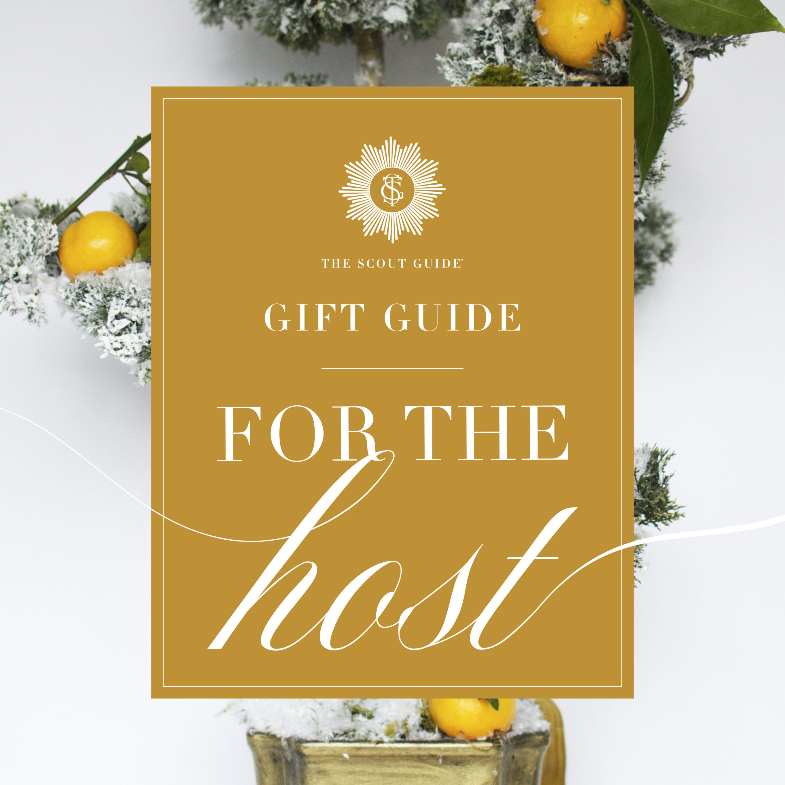 Getting to Know Fox Broermann Pediatric Dentistry - The Scout Guide