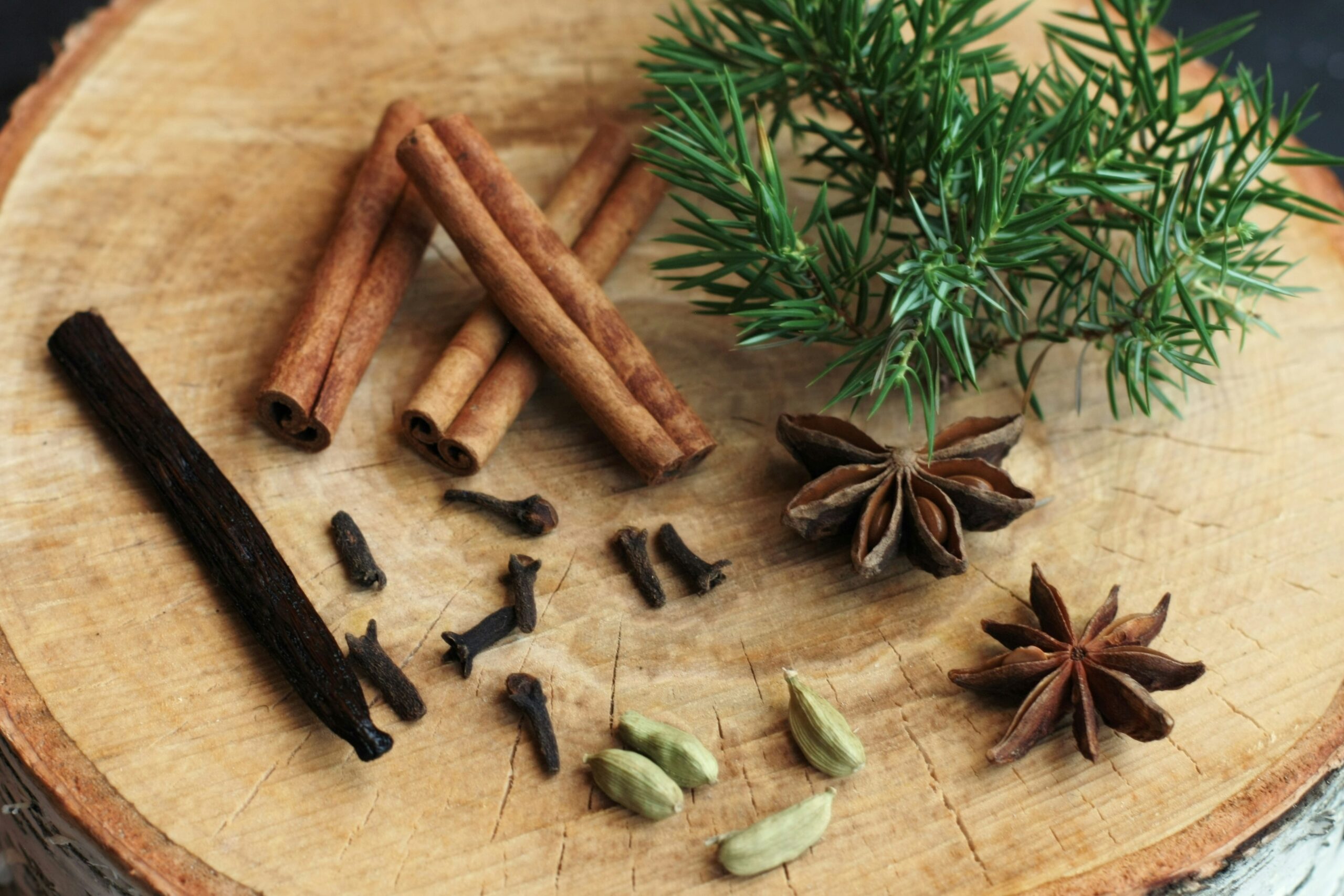 Holiday Spice & Everything Nice - The Scout Guide