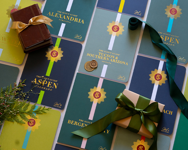 The Scout Guide - Discover & Connect with Local Businesses