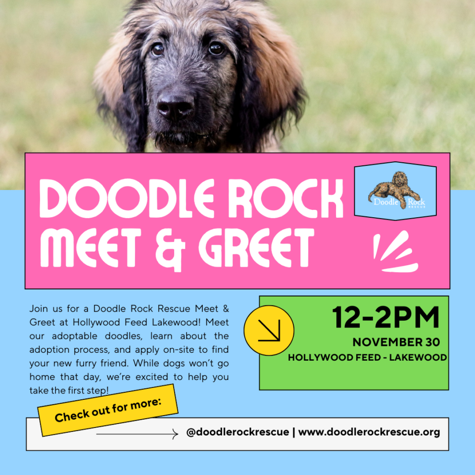 Doodle Rock Rescue Meet & Greet - The Scout Guide