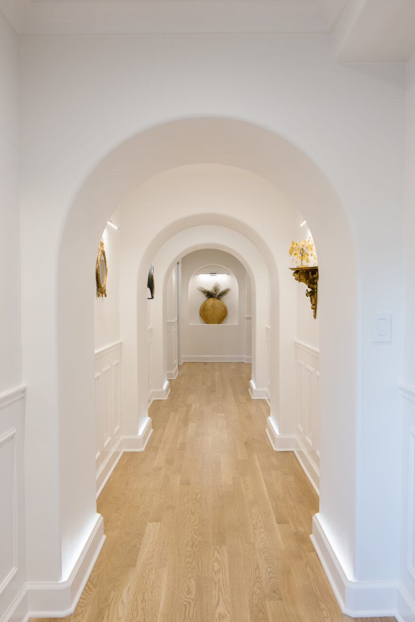 Trace Ventures: Elevated Transformations - The Scout Guide