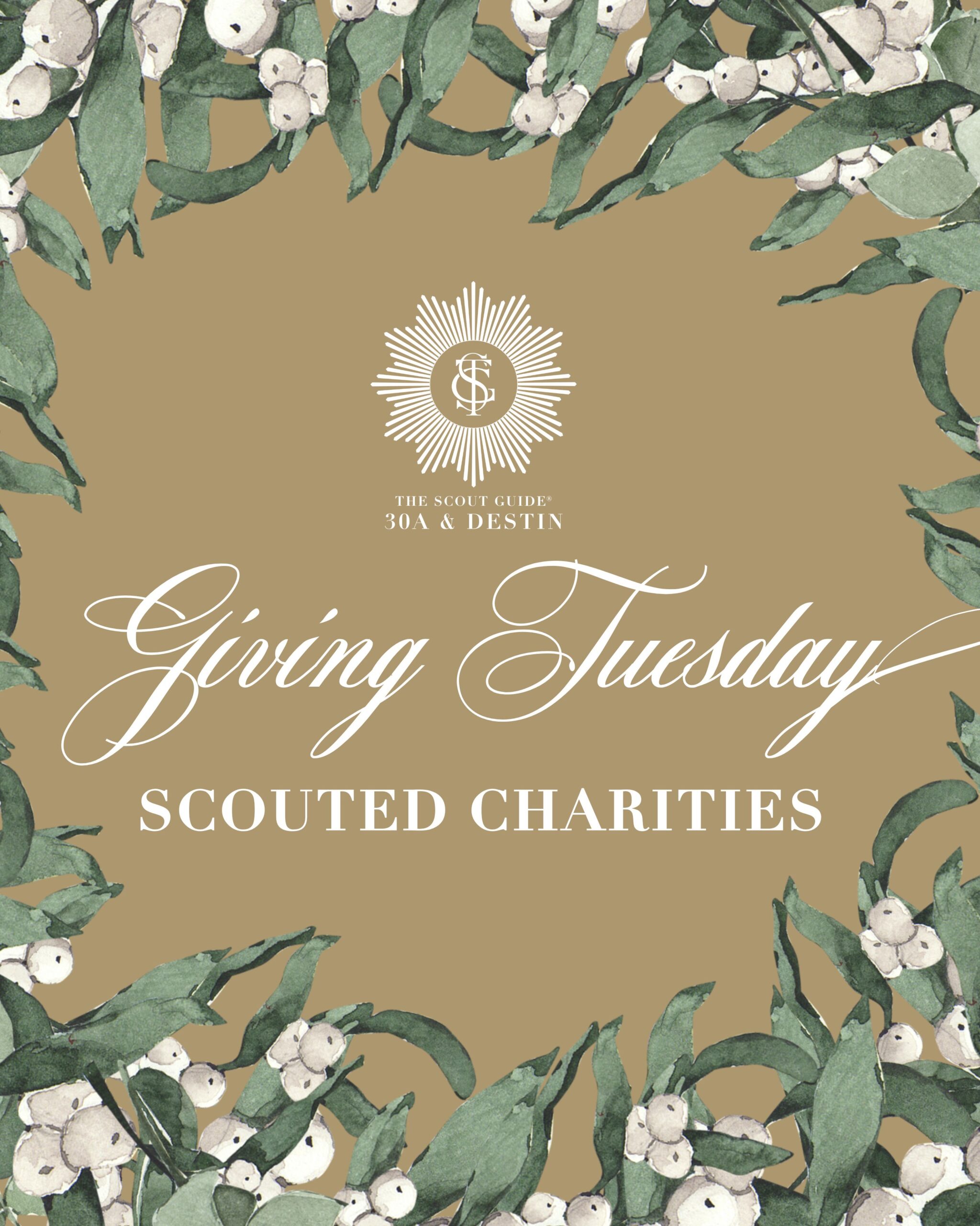 Top 6 Local Charities to Support This Giving Tuesday 30A & Destin - The ...