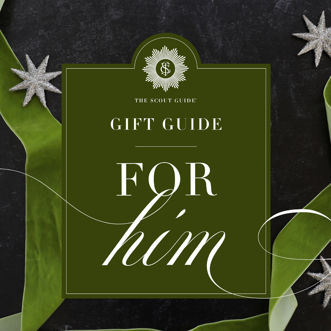 Welcome to Chicago, Illinois - The Scout Guide