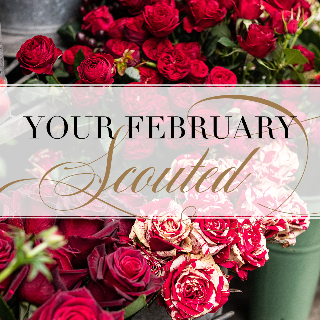 Service and Community: Cities Management - The Scout Guide