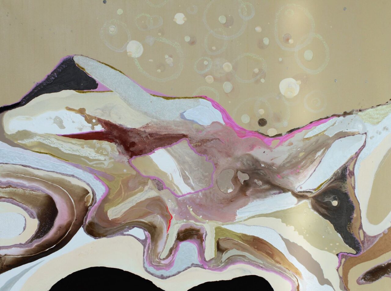 The White Noise Collection by Caroline Pyle. - The Scout Guide