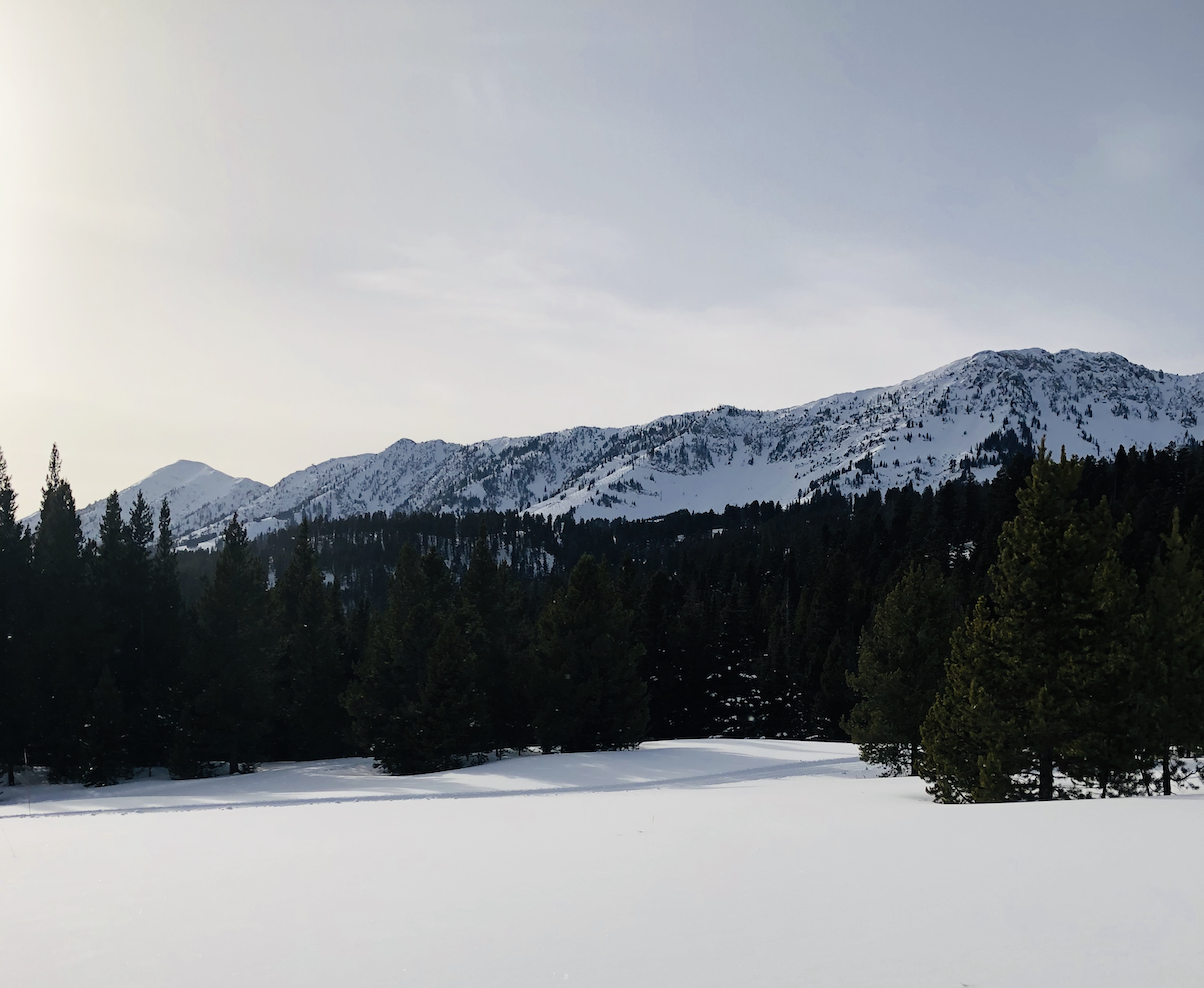 Spring Break in the Valley: Your Insider Guide to Bozeman, Big Sky, and ...