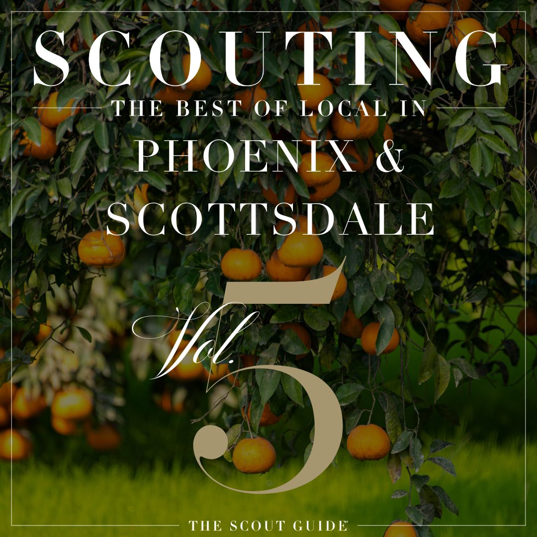 Scouting for V5 | We Want to Hear From You! - The Scout Guide