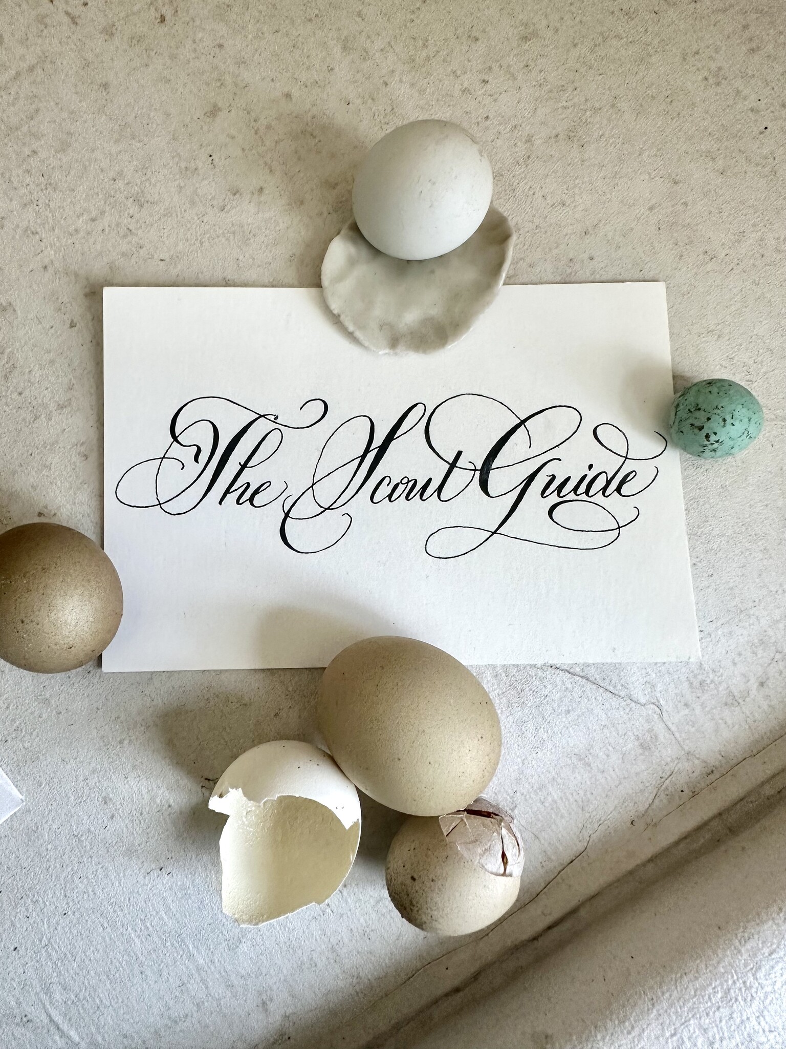 Hop to Shop: Abilene Edition - The Scout Guide