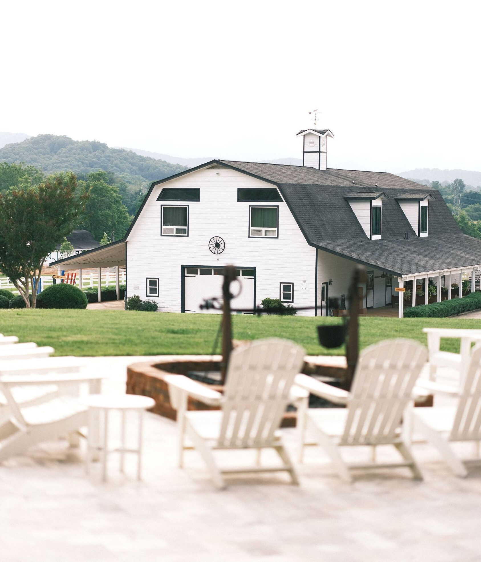 Spring at The Horse Shoe Farm: A Season of Renewal and Celebration ...