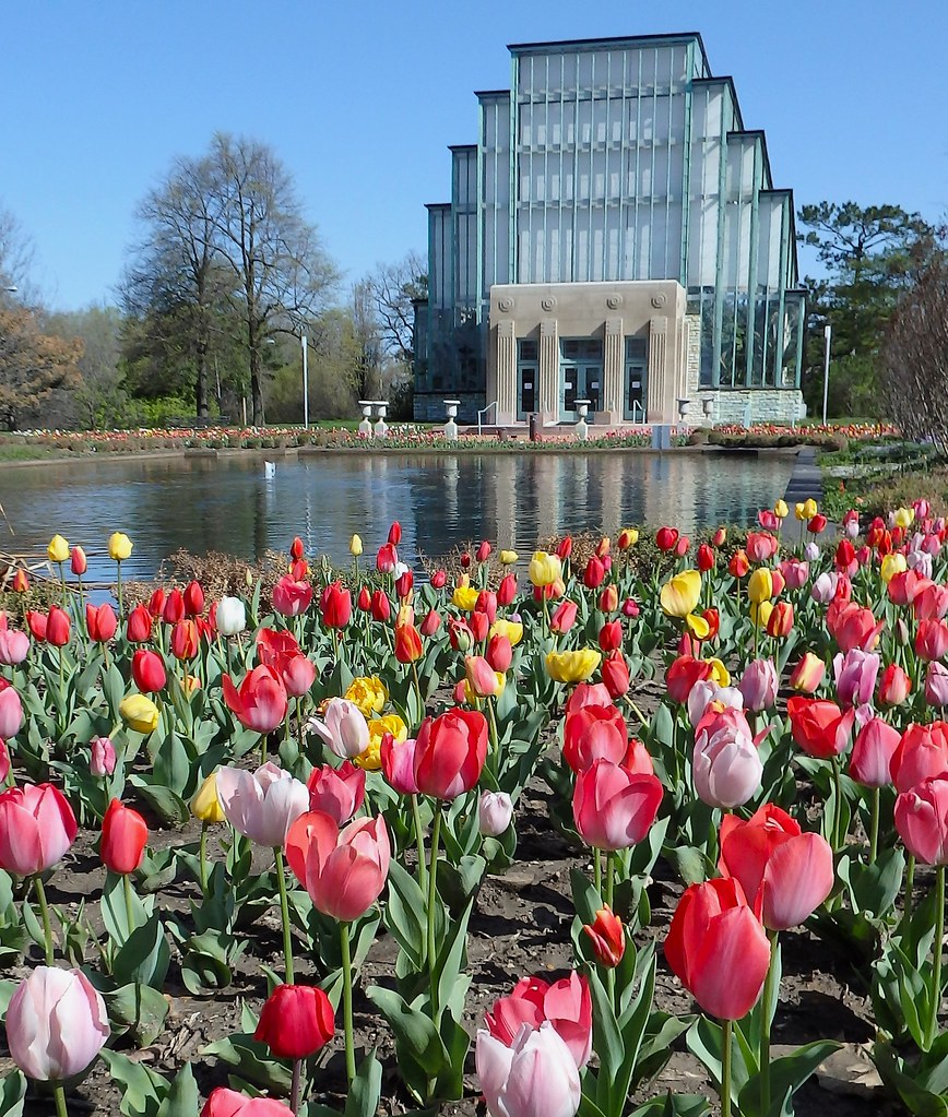 Breathing Deep: Spring's Fresh Energy in Saint Louis - The Scout Guide