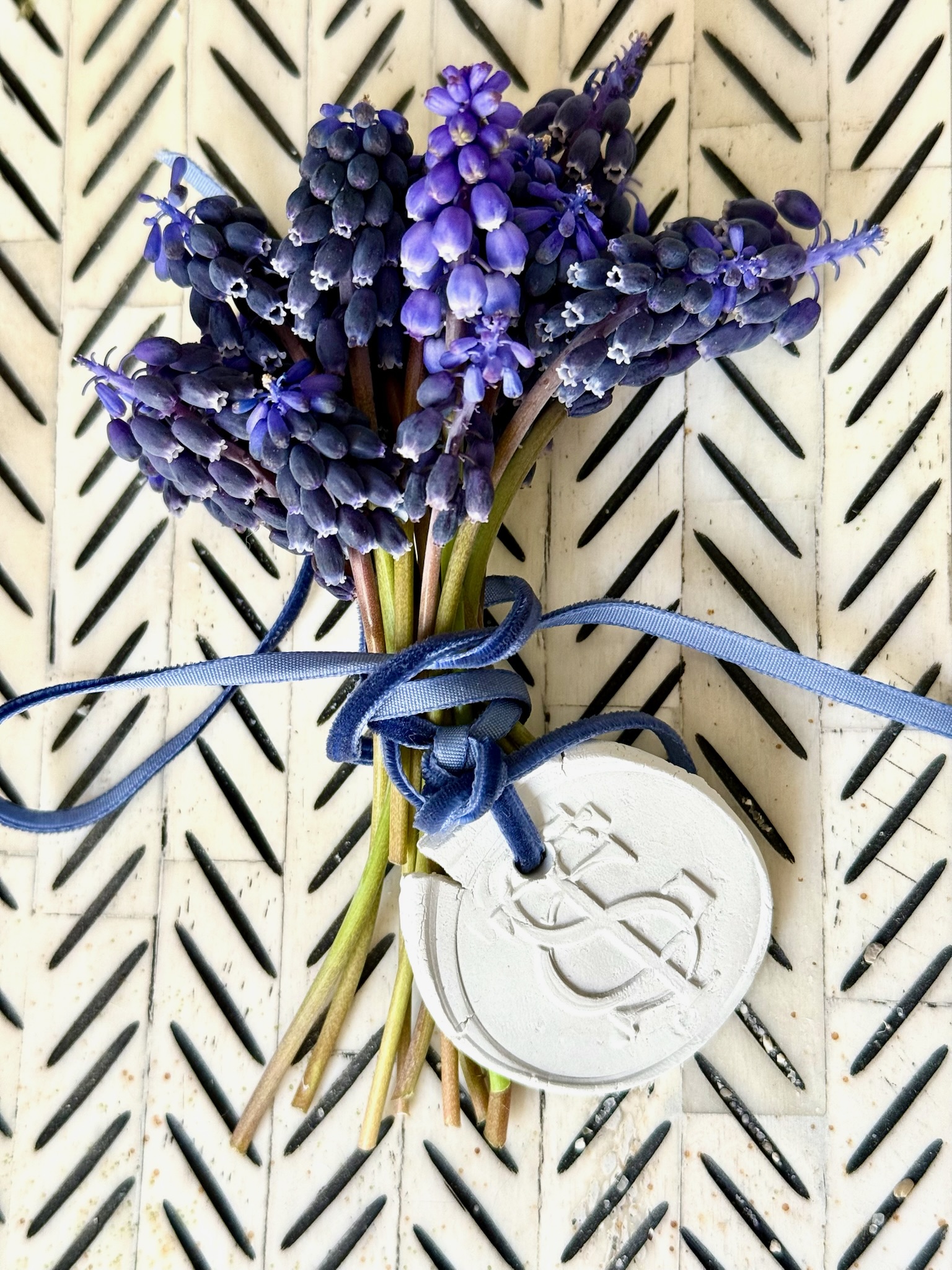 The Scout Guide Fort Collins Member Offers & Promotions for May - The ...