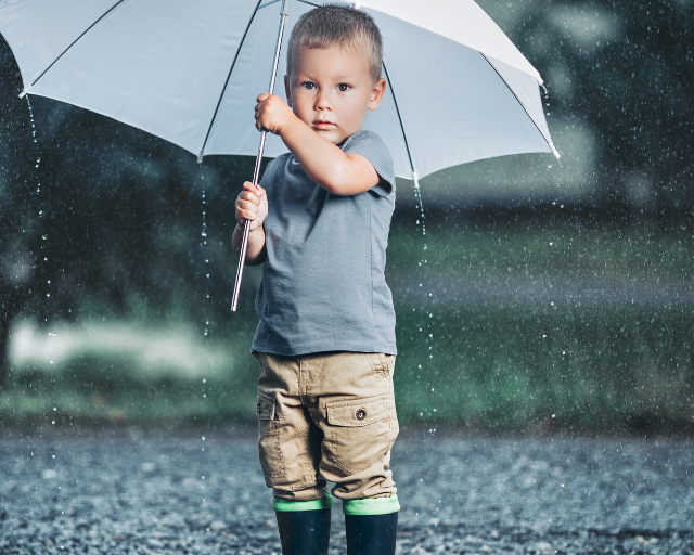 Hurricane Preparation: A Local's Essential Steps to Follow - The Scout ...