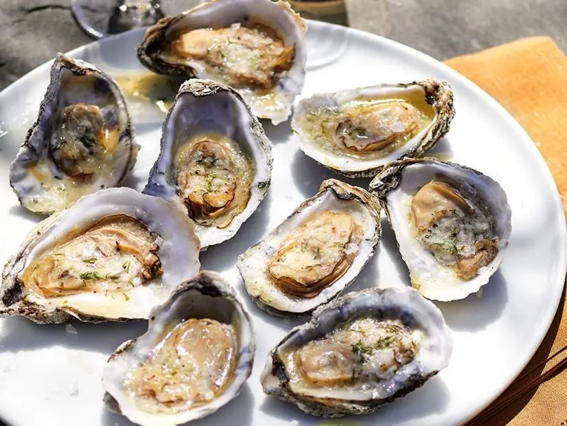 2026 Oyster Revel FAQ - The Scout Guide