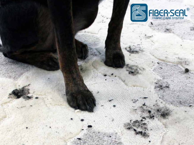 Protect What You Love with Fiber-Seal - The Scout Guide