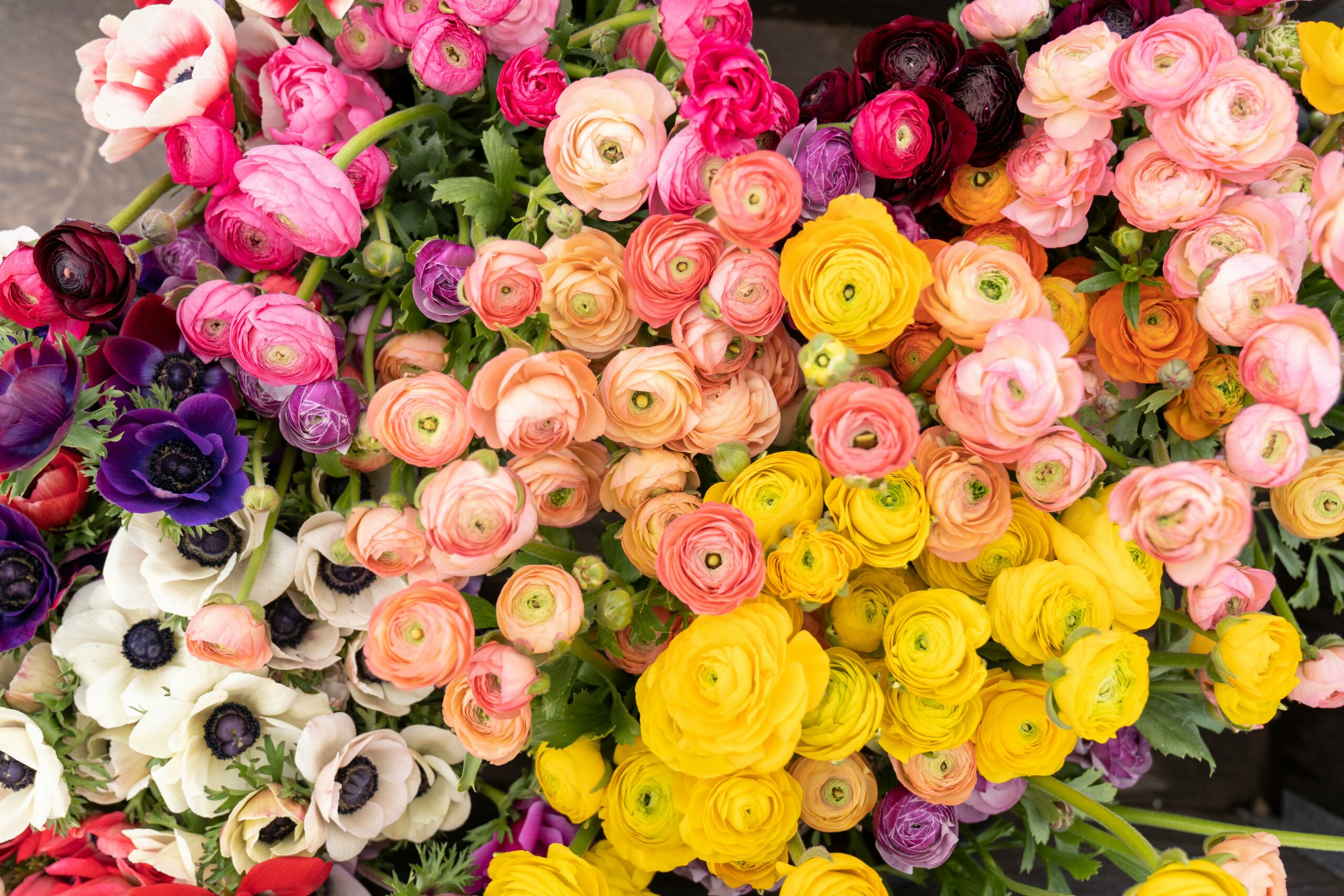 Best Pick-Your-Own-Flowers in Boise & The Treasure Valley - The Scout Guide