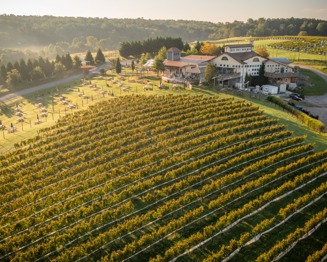 Inside the Refreshed Barrel Oak Winery & Brewery: Elevated Wines, Craft ...