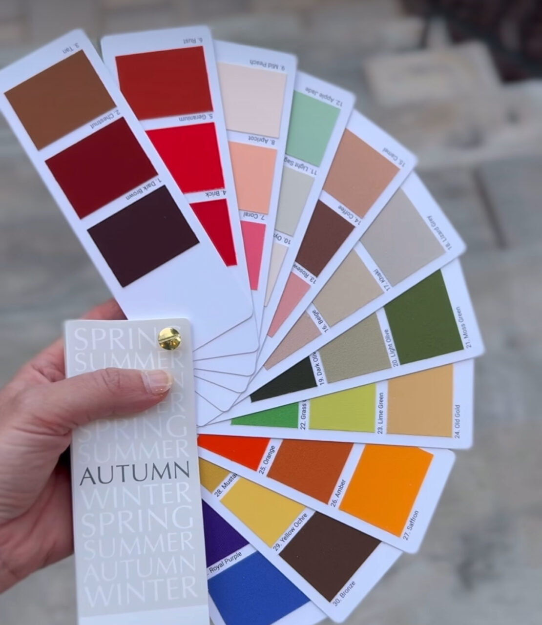 house of colour - The Scout Guide