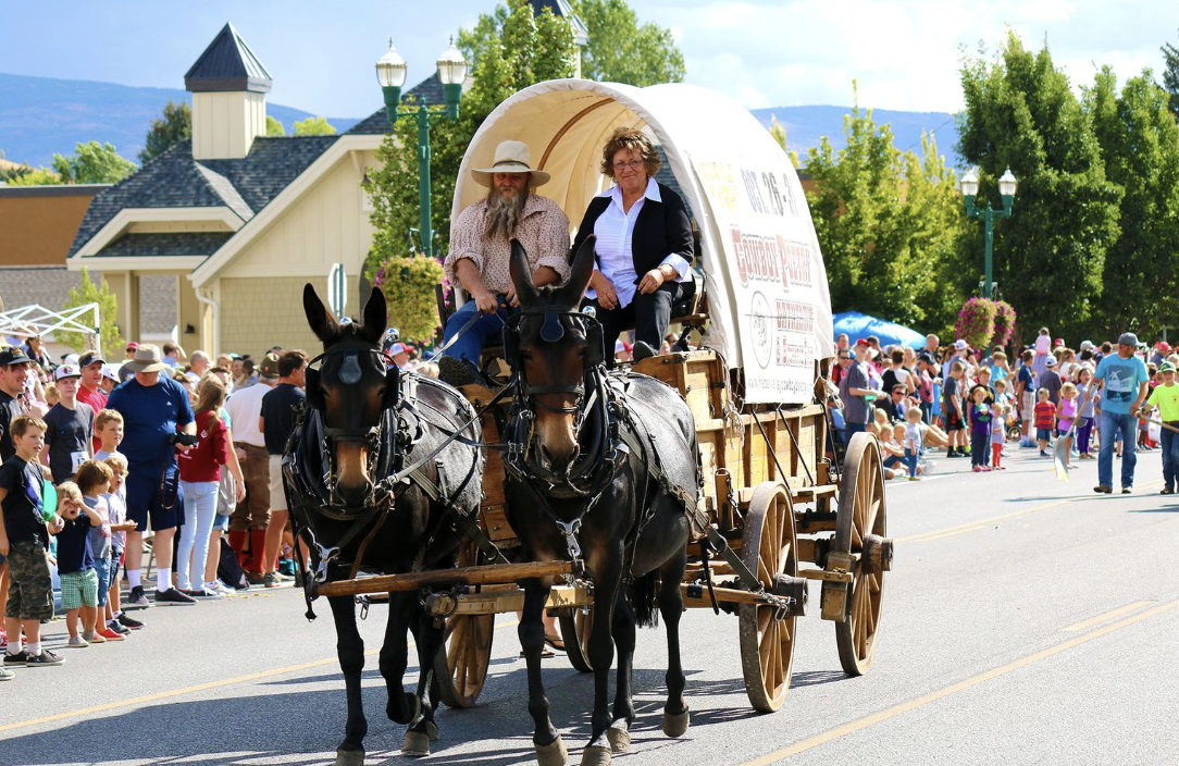 Midway Swiss Days - The Scout Guide