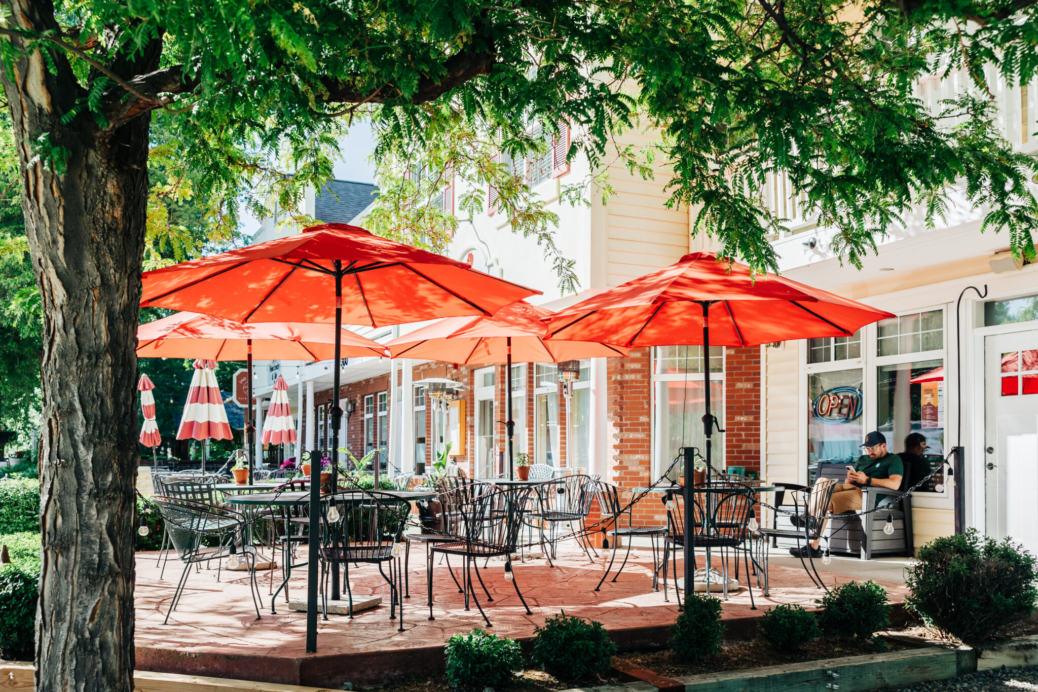 THE PERFECT DAY IN | Niwot, Colorado - The Scout Guide