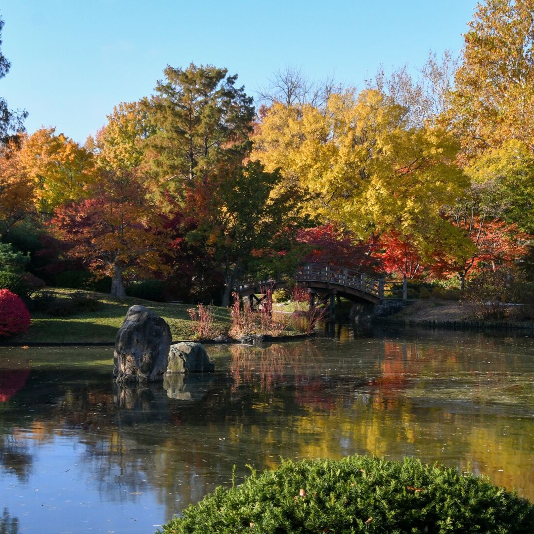 Fall Entertaining & Seasonal Style | The Scout Guide St. Louis